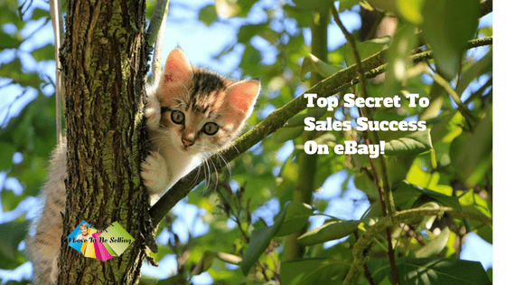 Top Secret To Sales Success On eBay! - I Love To Be Selling