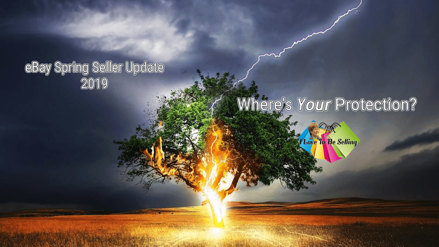 eBay's Spring Seller Update Protections Promised?! - I Love To Be Selling